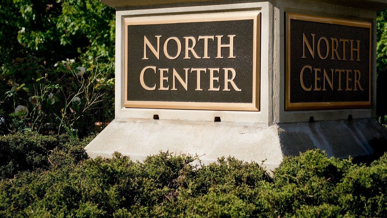 Petition · Chicago Citizens for Safety - 47th Ward - United States ...