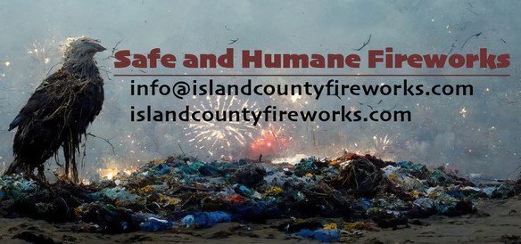 Petition · Ban personal fireworks displays in unincorporated Island ...