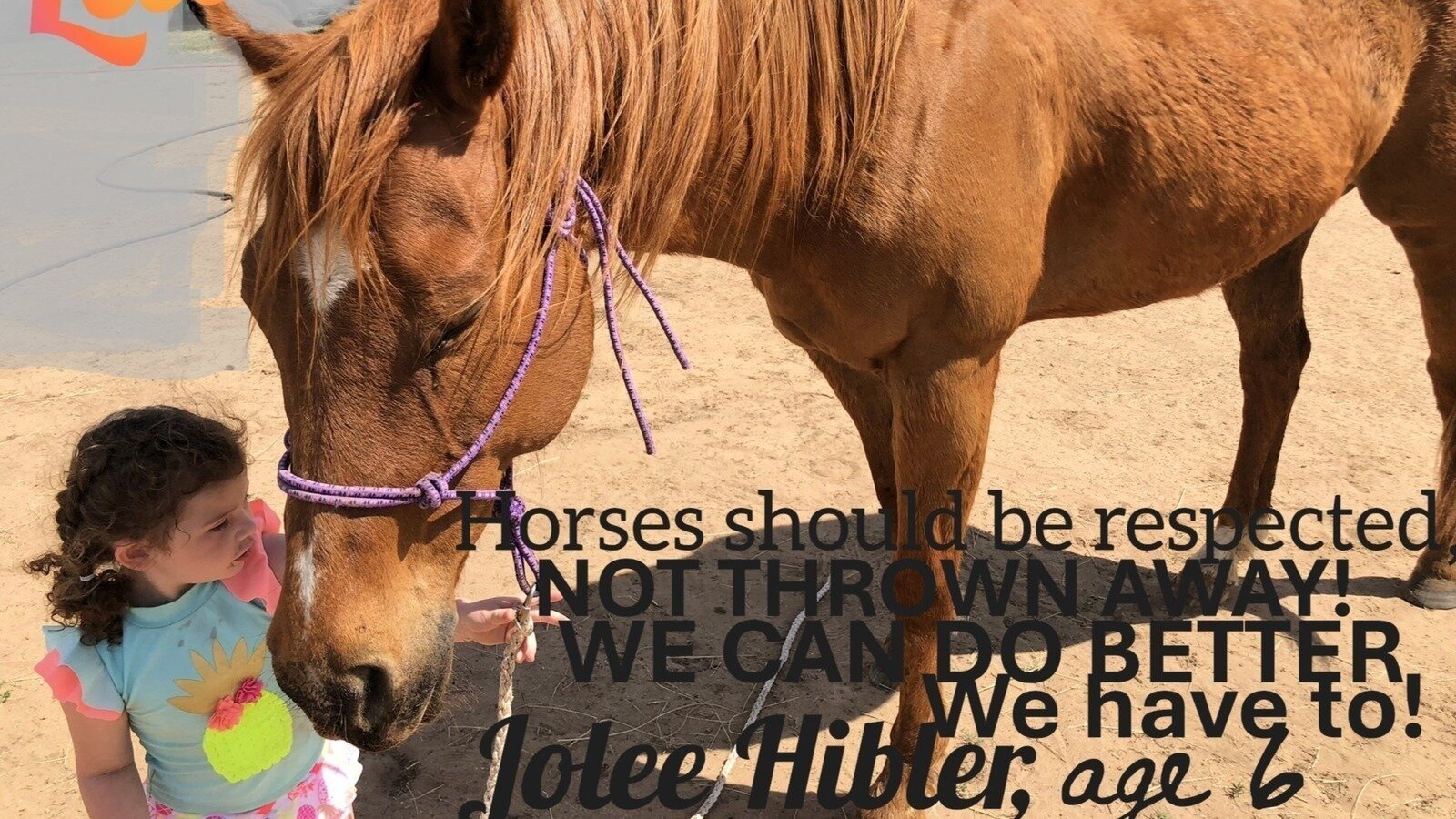 Petition · Pass Jolee's Law: The Humane Equine Protection and ...