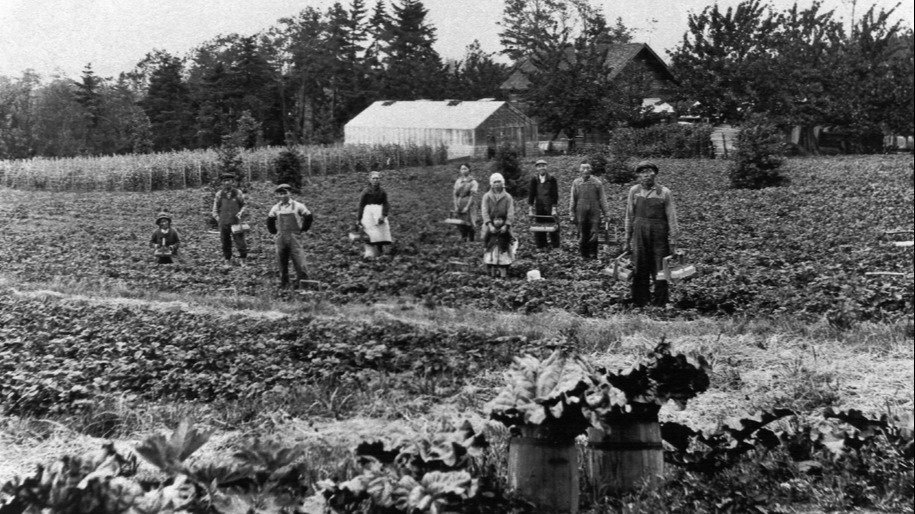 Petition · Memorial to Bellevue's Japanese Farming Community - United ...