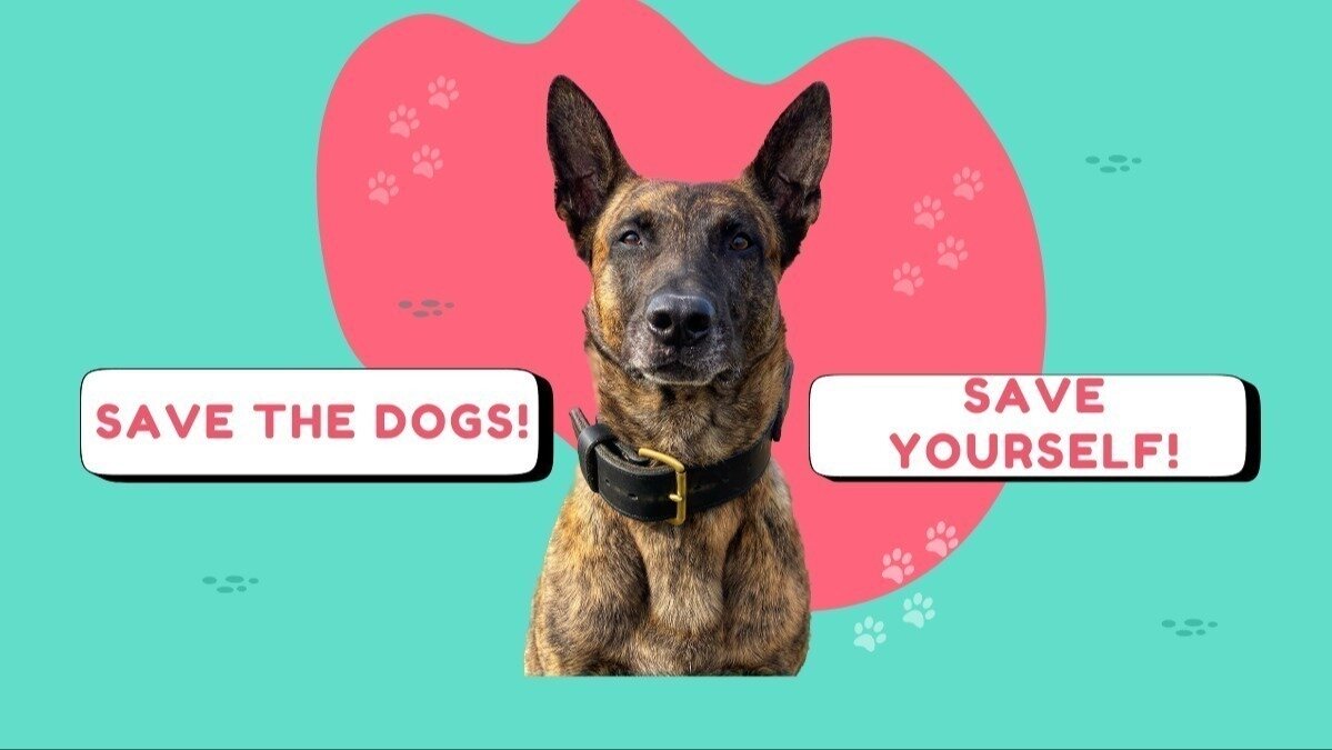 Petition · Save the Dogs, Save Yourselves - United States · Change.org