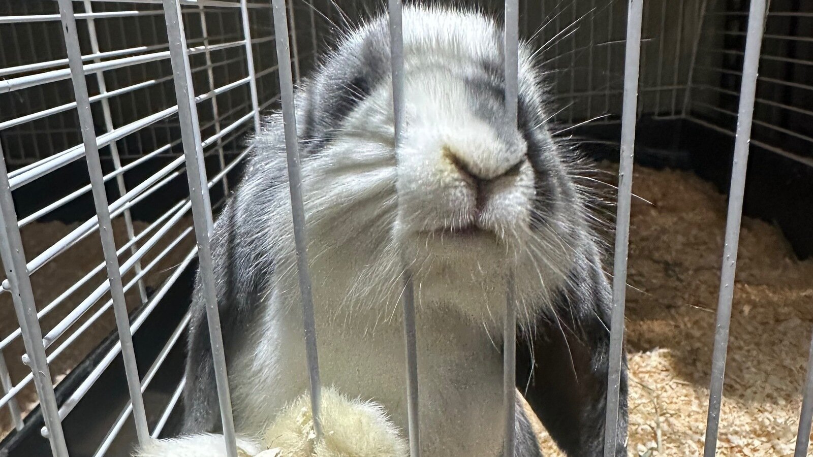 Petition · Petition to Stop the Sale of Live and Exotic Animals at ...