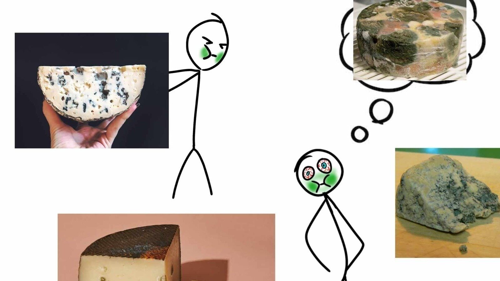 Petition · Dairy-Free Future: Petition to Ban Cheese for Environmental ...