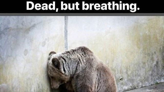 Petition · Stop the zoo culture · Change.org