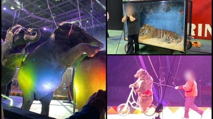 Petition · Urge Hadi Shriners & Ford Center Evansville to Stop ...