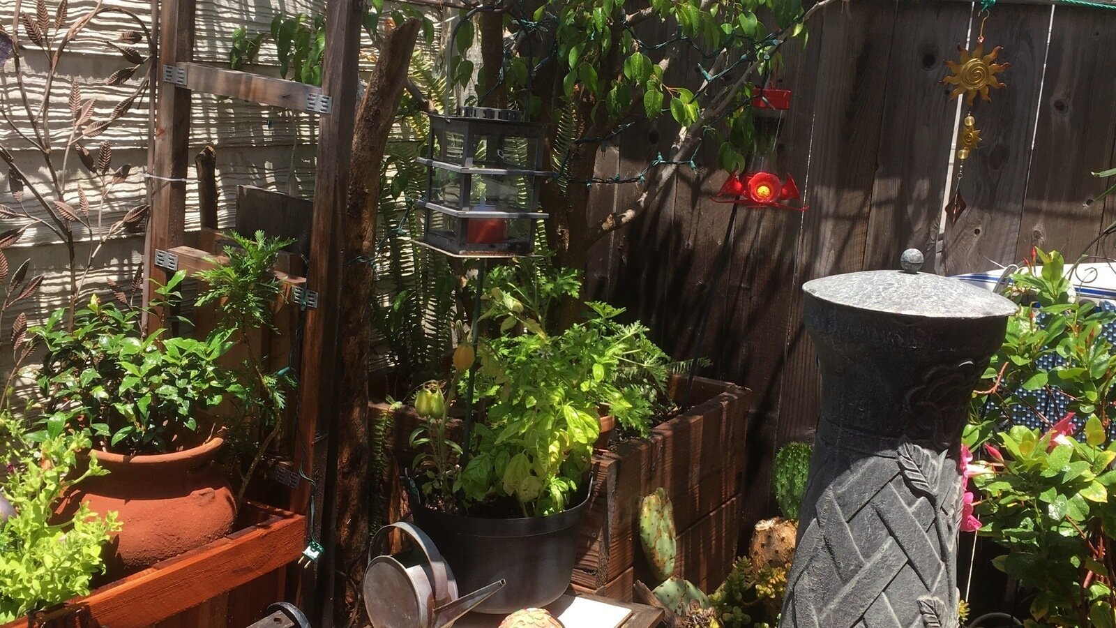 Petition · Remove Patio Tenting Requirement in Village Townhomes ...