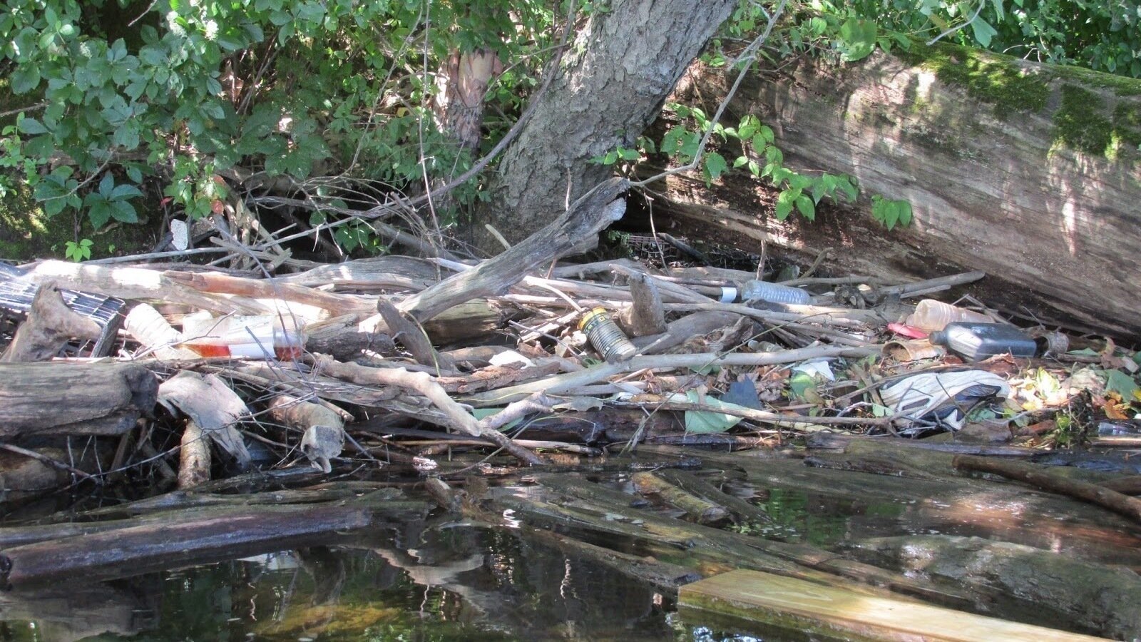 Petition · Raise Awareness About Merrimack River Pollution - Essex ...