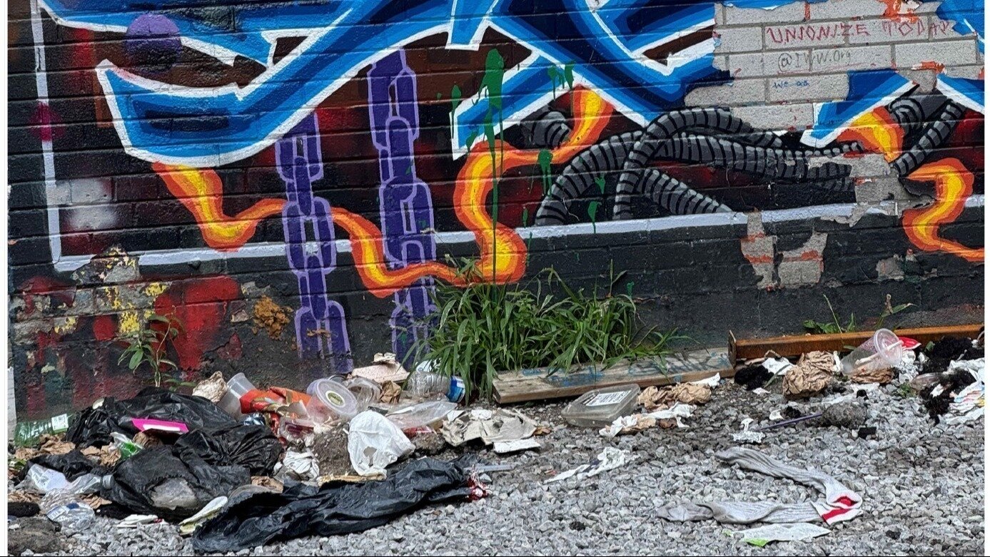 Petition · Urge the City of Toronto to Clean Up and Recycle in Downtown ...