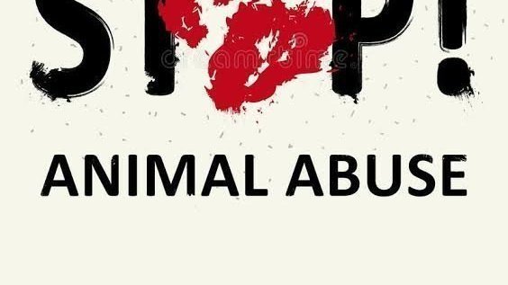 Petition · Animal Abuse - Philippines · Change.org