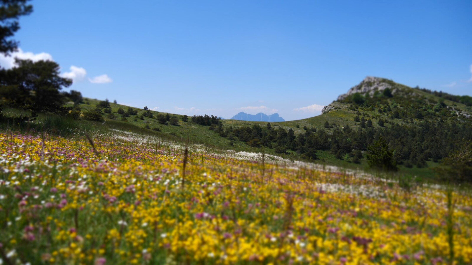 Pétition · La Servelle en danger : Mobilisons-nous contre le parc ...