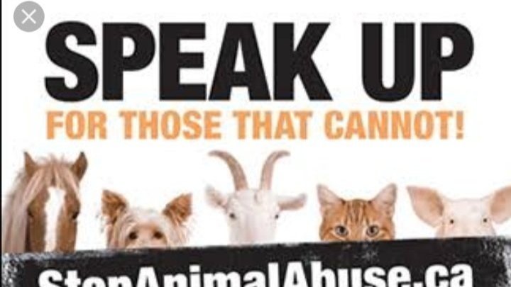 Petition · Please stop animal abuse and prison the ones who do abuse to ...