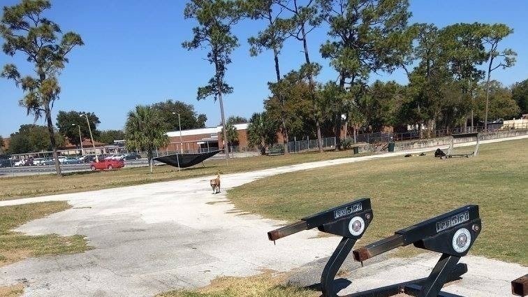 Petition · WPHS Field Renovation - Winter Park, United States · Change.org