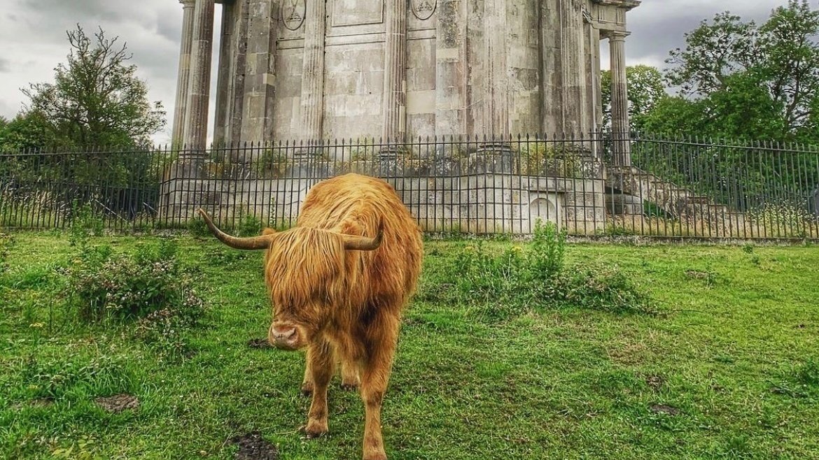 Petition · Make Cobham Woods accessible to all - Gravesend, United ...