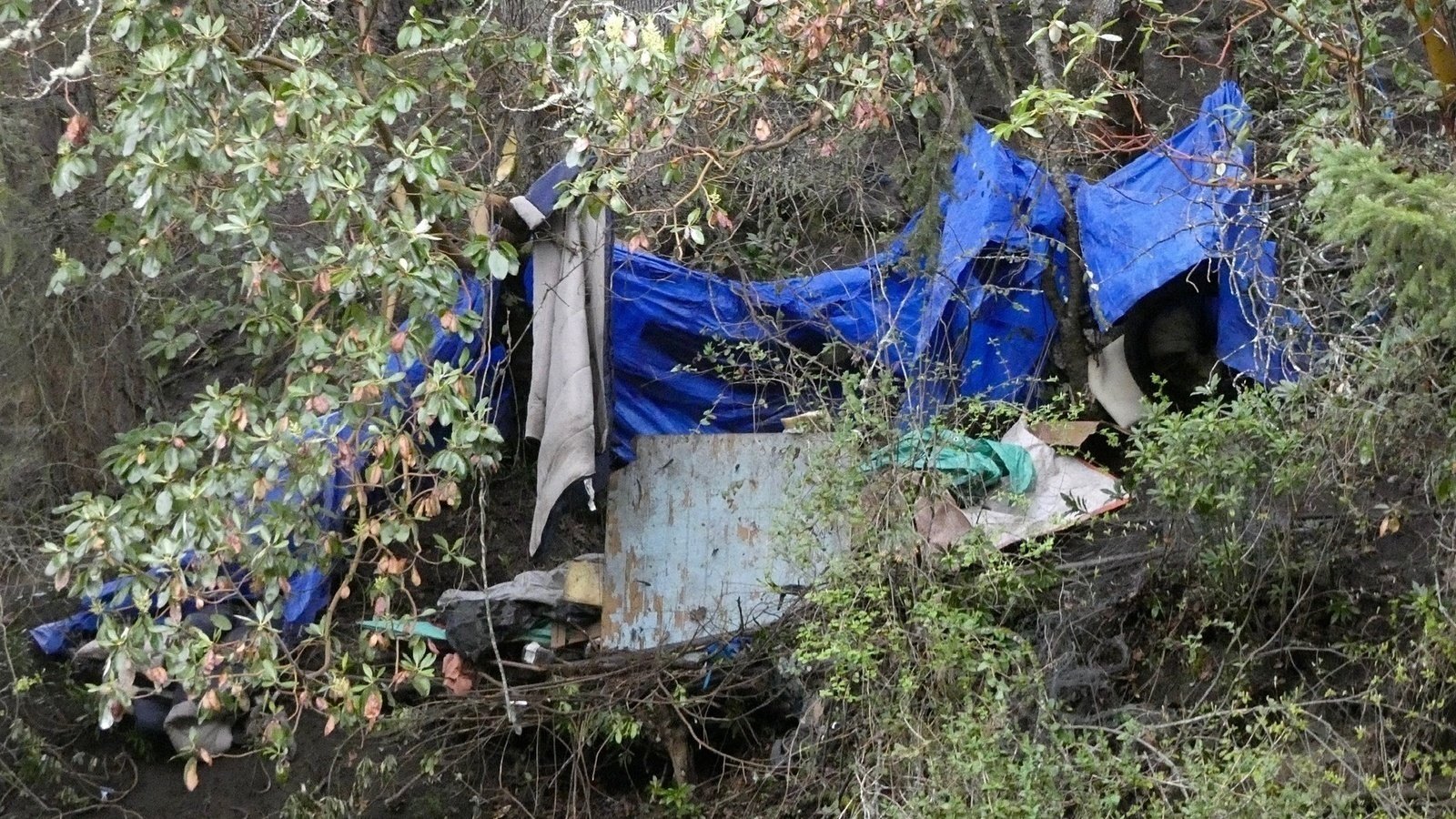 Petition · Restore Safety & Nature to Millstone Riverbank in Nanaimo ...