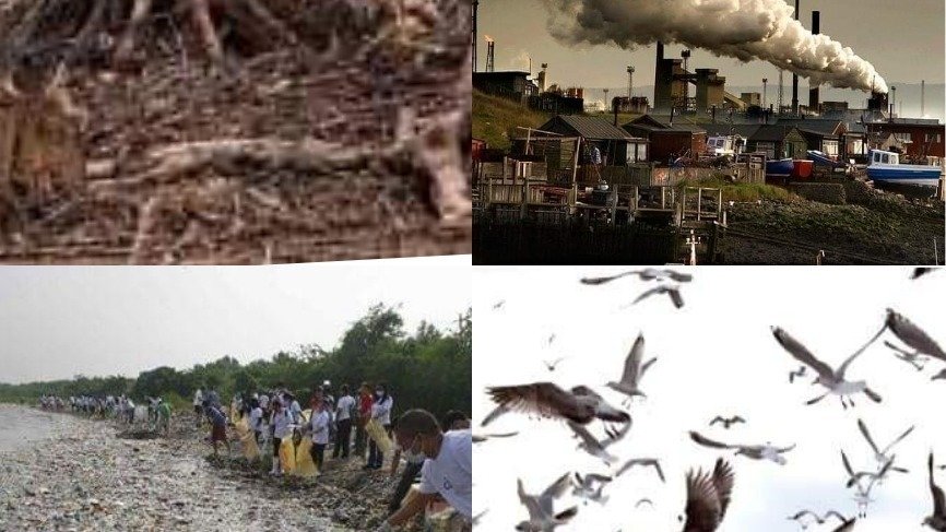 Petition · Stop Environment Abuse - Philippines · Change.org