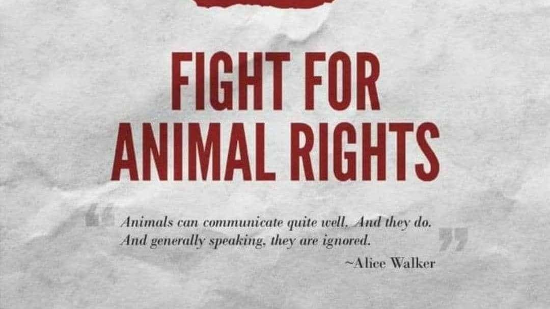 Petition · Animal Rights Ireland - Ireland · Change.org