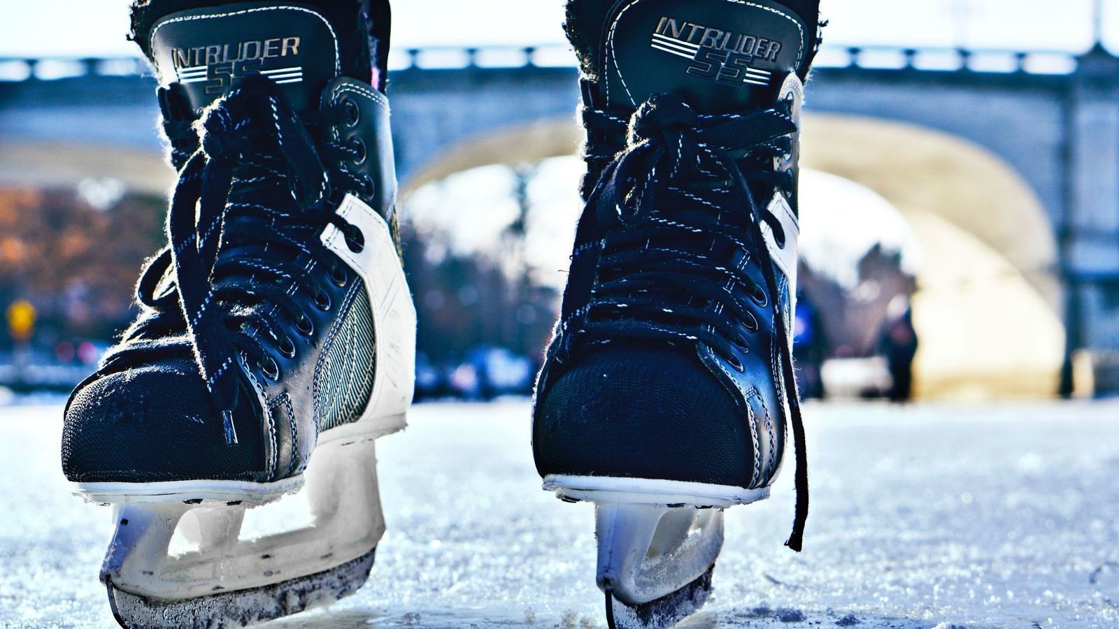 Petition · Build an Ice Skating Rink in Bay Shore - Islip, United ...