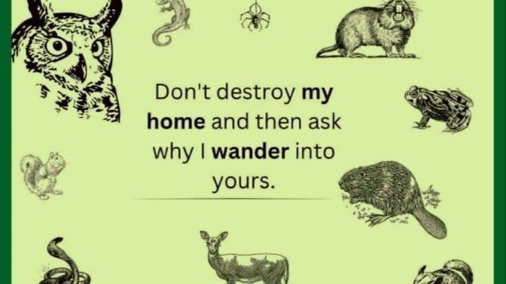Petition · Protect Central Alabama's Wildlife and Forests - Alabaster ...