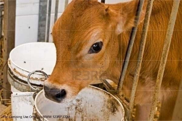 Petition · Providing Humane Treatment of All Animals · Change.org