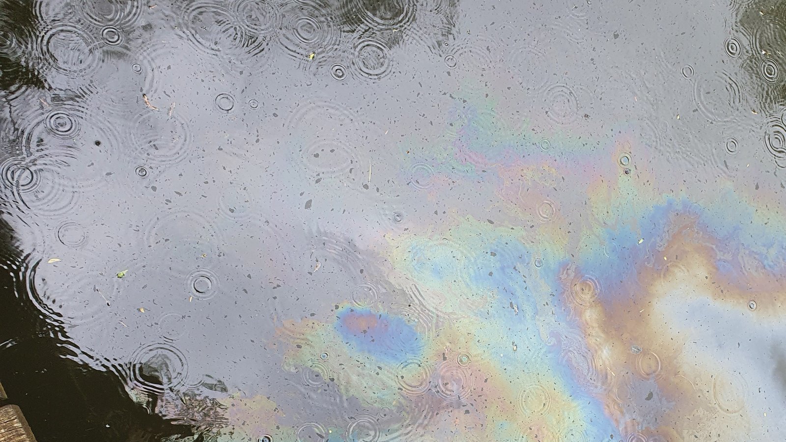 Petition · Stop diesel pollution in Lower Test River - United Kingdom ...