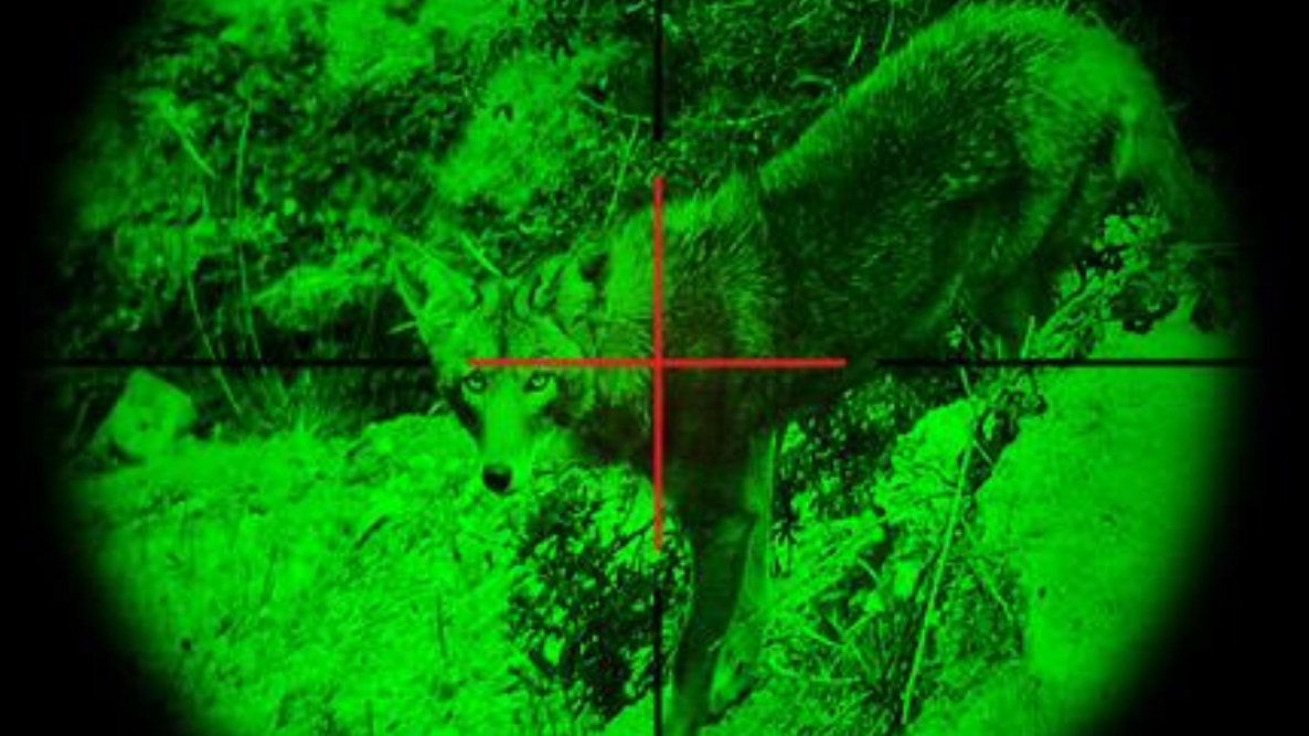 Petition · Allow the use of NIGHT VISION and THERMAL IMAGING OPTICS for ...