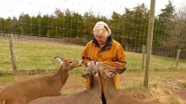 Petition · We ask state government to grant Brenda Oakes an Exhibition ...