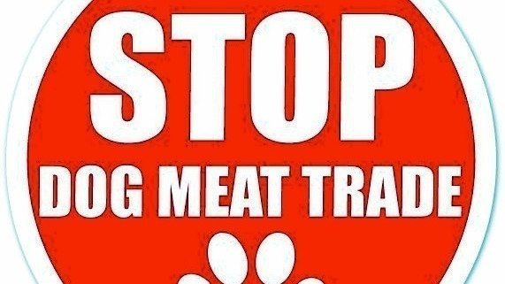 Petition · Say NO to dog and cat meat traders! - Cyprus · Change.org