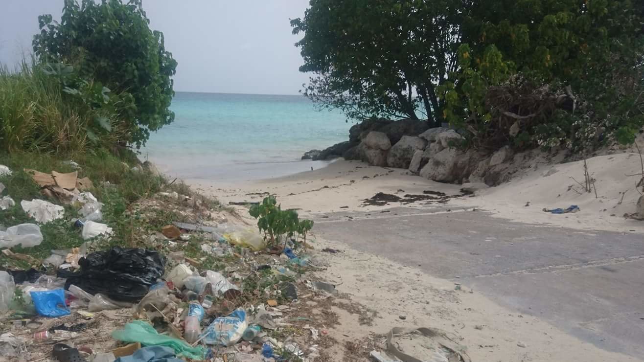 Petition · Support the Reduction of Single-Use Plastics in Barbados ...