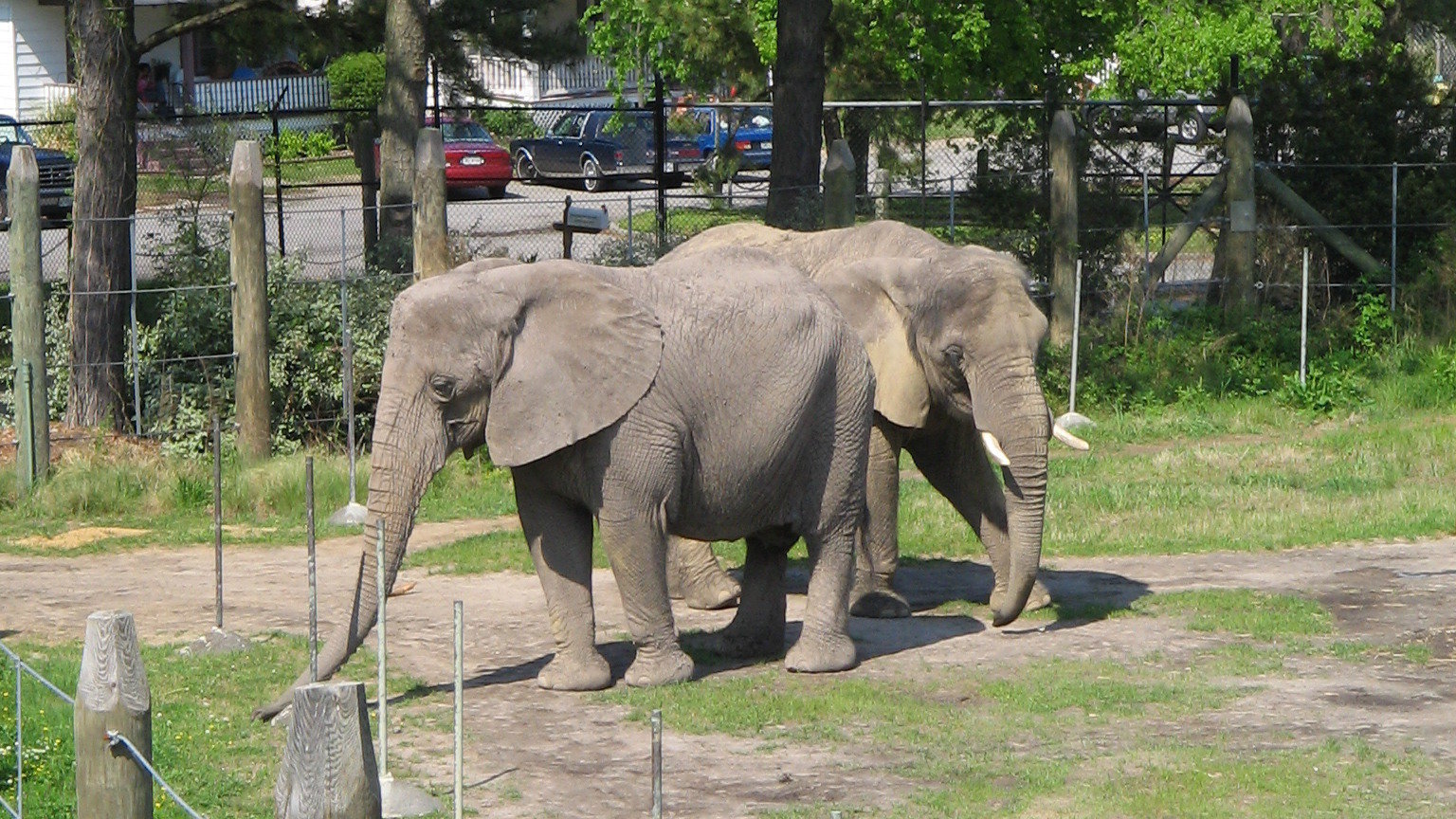 Petition · Greg Bockheim: Relocate the Virginia Zoo Elephants to The ...