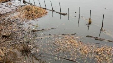 Petition · Advocate for the Clean-Up of the Poisonous Anacostia River ...