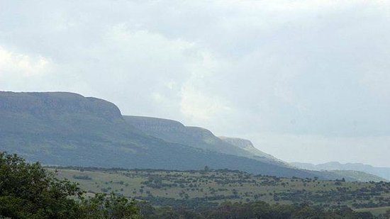 Petition · Prevent heavy trucks from using R513 in De Wildt due to road ...