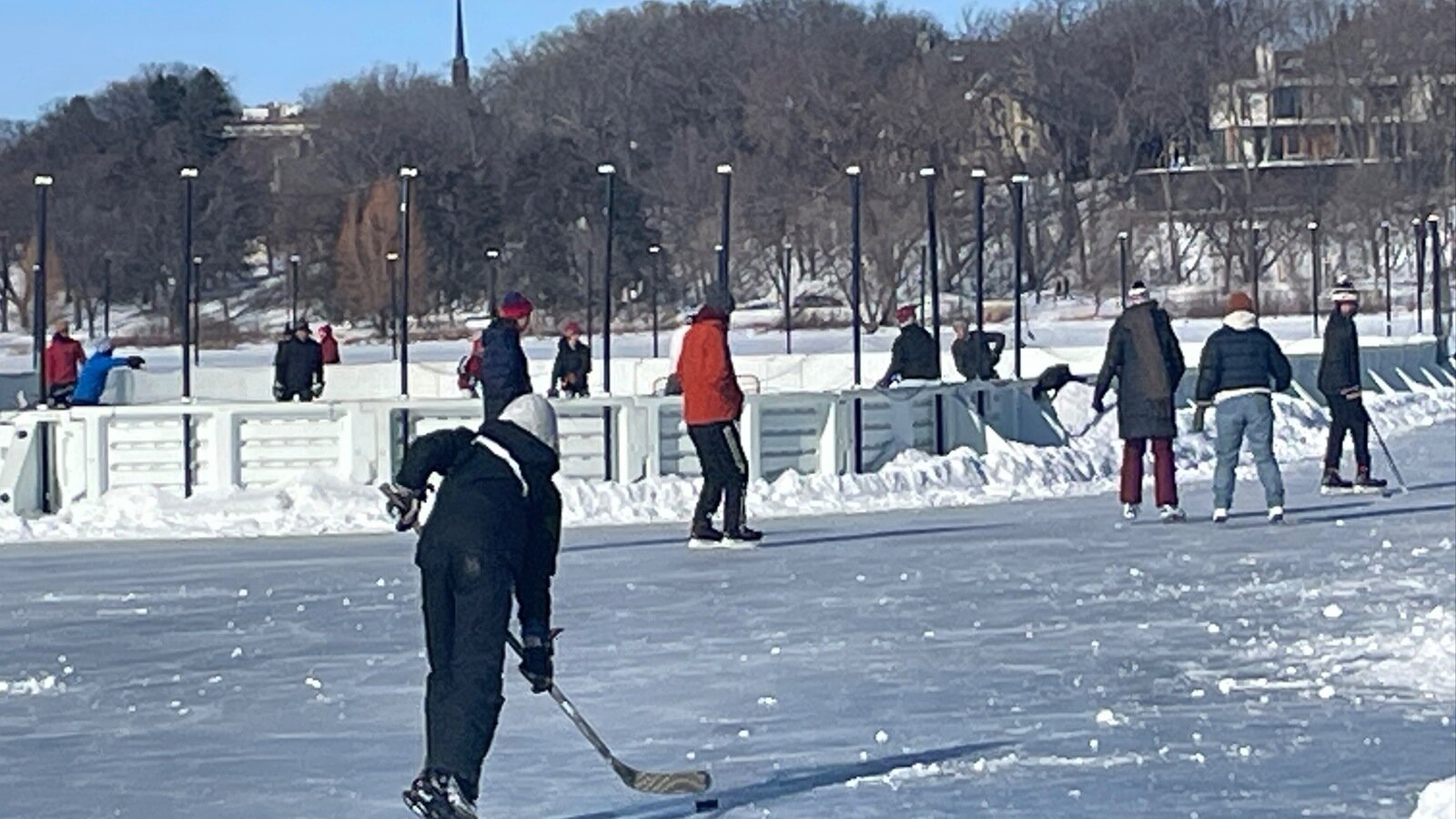 Petition · Preserve Lake of the Isles Skating Rink for Future ...