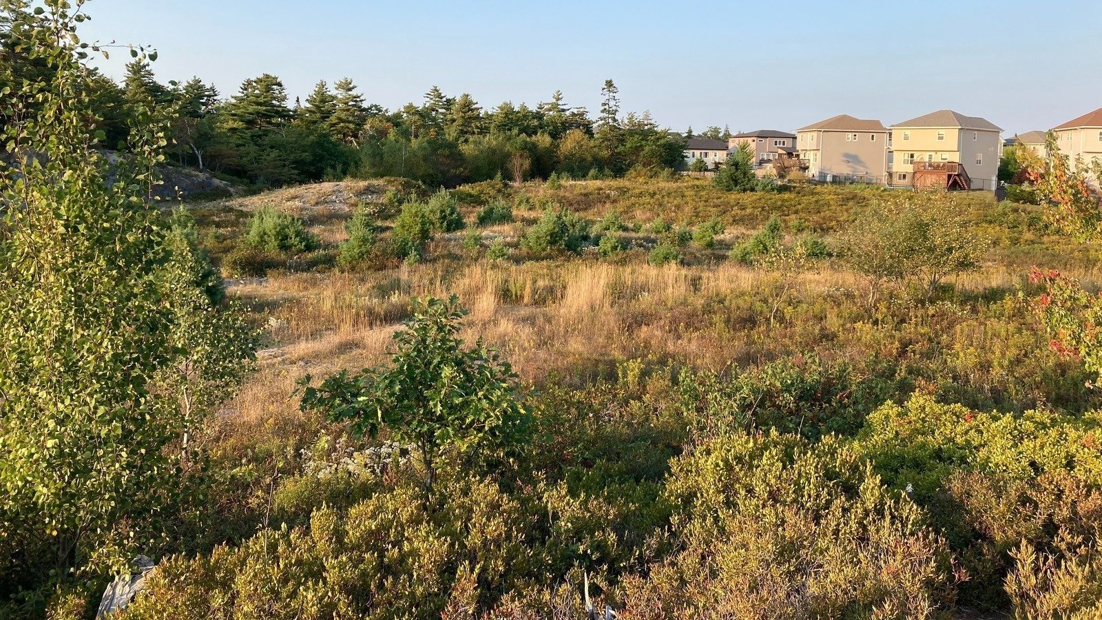 Petition · HRM to prioritize green space development at Transom Drive ...