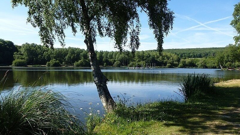 Pétition · Préservez et Entretenez l'Étang de la Forêt de Brandivy et ...