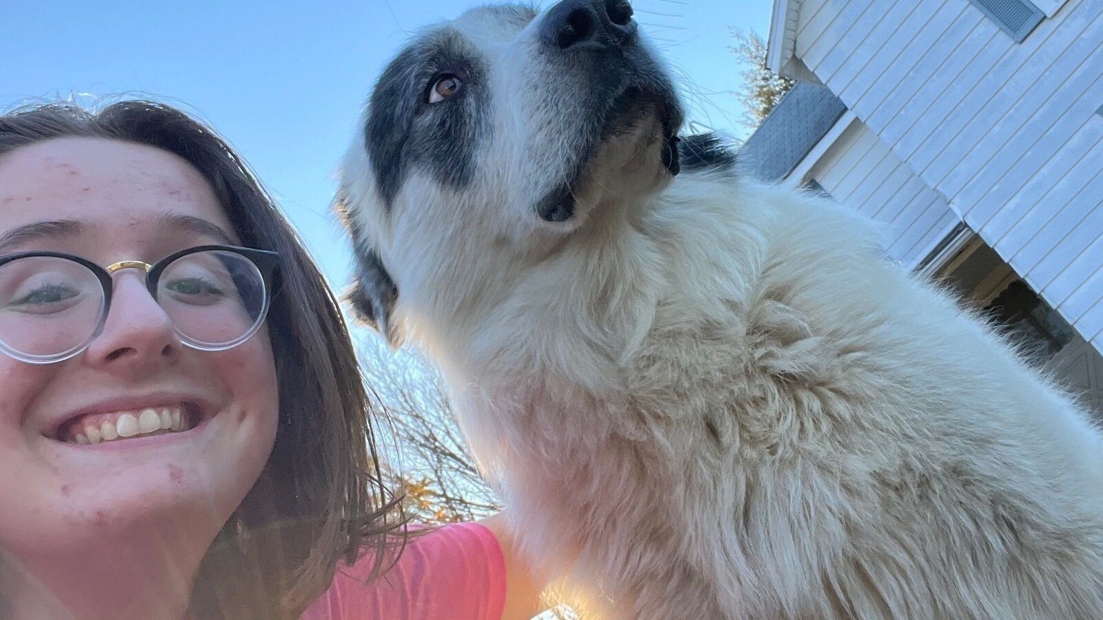 Petition · Get Josalyn A Dog · Change.org