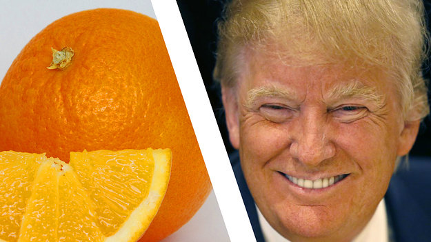 Petition · NBC: Let Us Call Donald Trump: The Annoying Orange · Change.org
