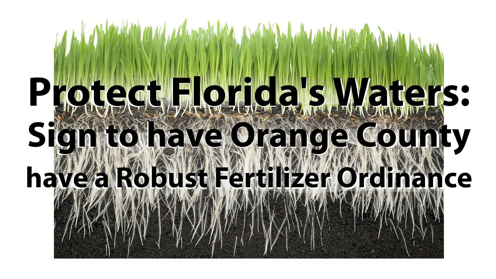 Petition · Protect Florida's Waters: Sign to have Orange County have a ...