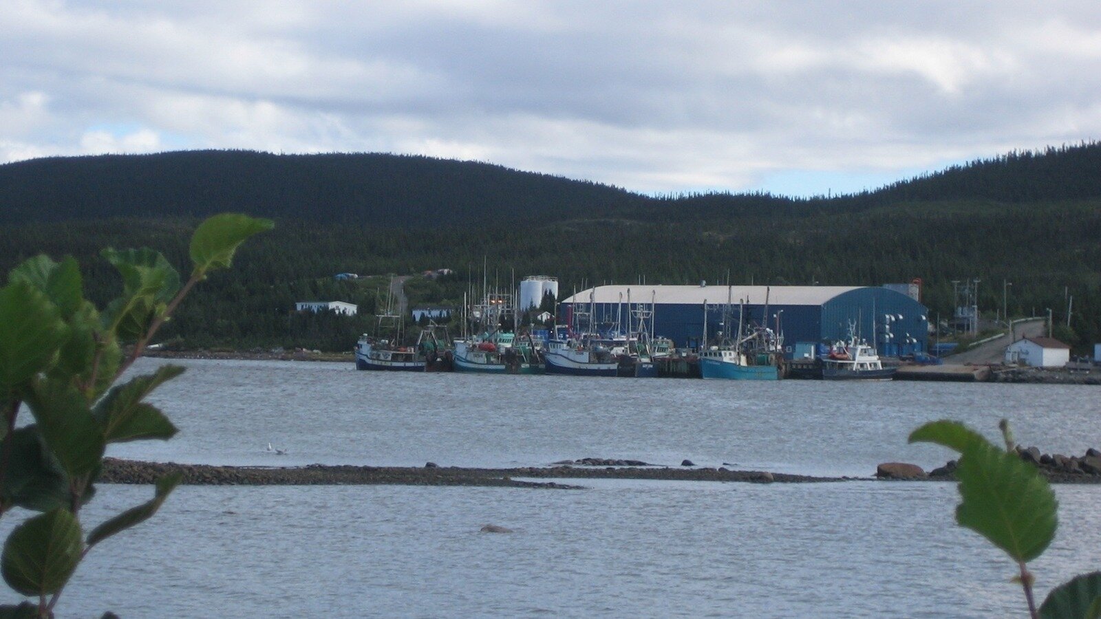 Petition · Unfair changes to EI in rural NL - Canada · Change.org