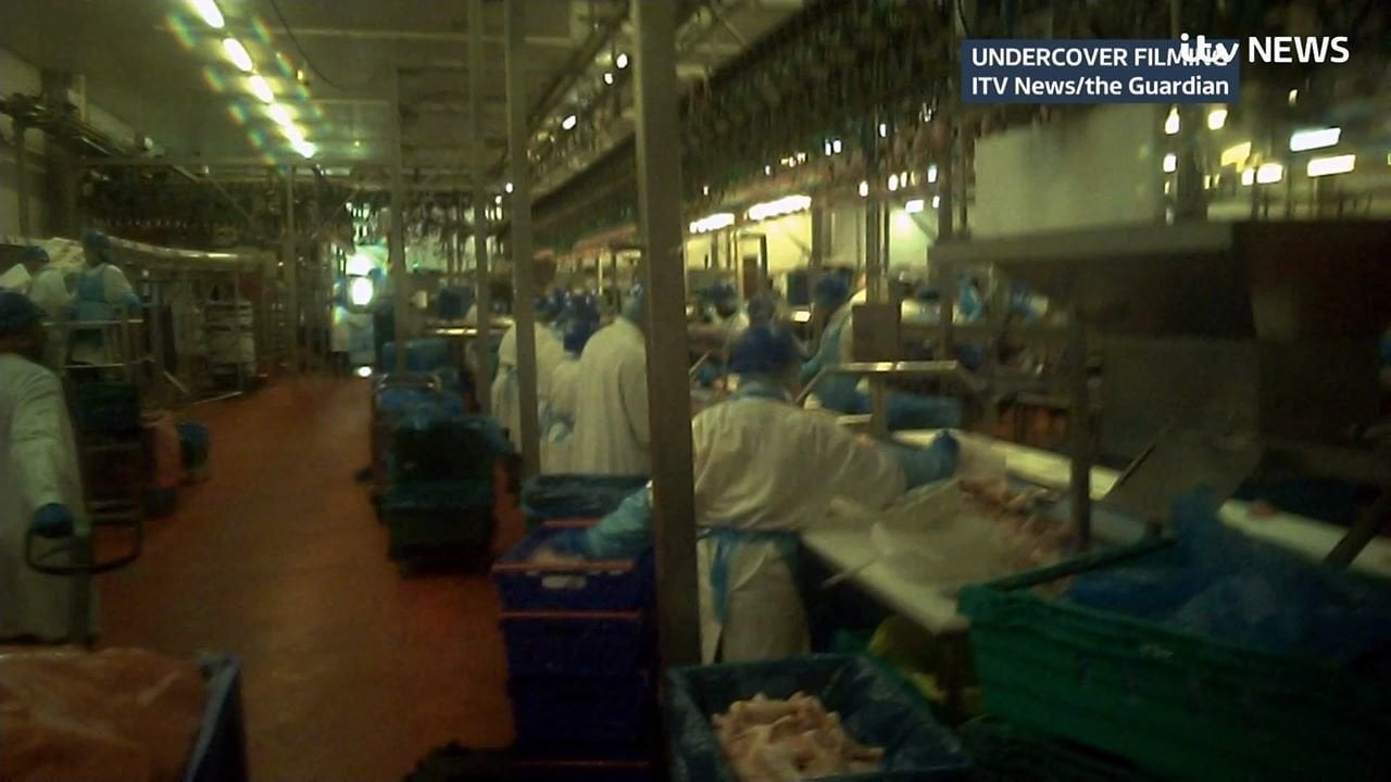 Petition · CLOSE DOWN TWO SISTERS FOOD GROUP FACTORY IMMEDIATELY ...