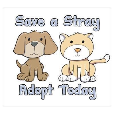 Petition · Save a Stray, Adopt Today - United States · Change.org