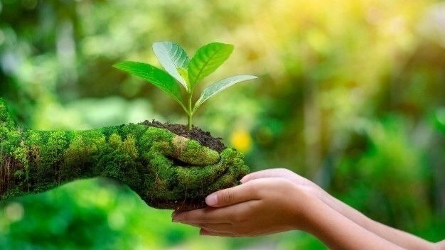Petition · GO GREEN: TREE PLANTING - Philippines · Change.org