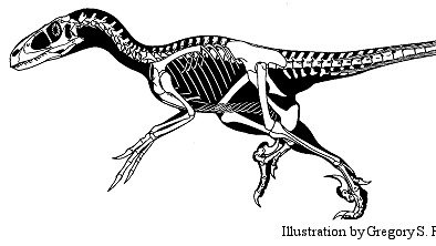 Petition · Saving Siege raptor legs. - United States · Change.org