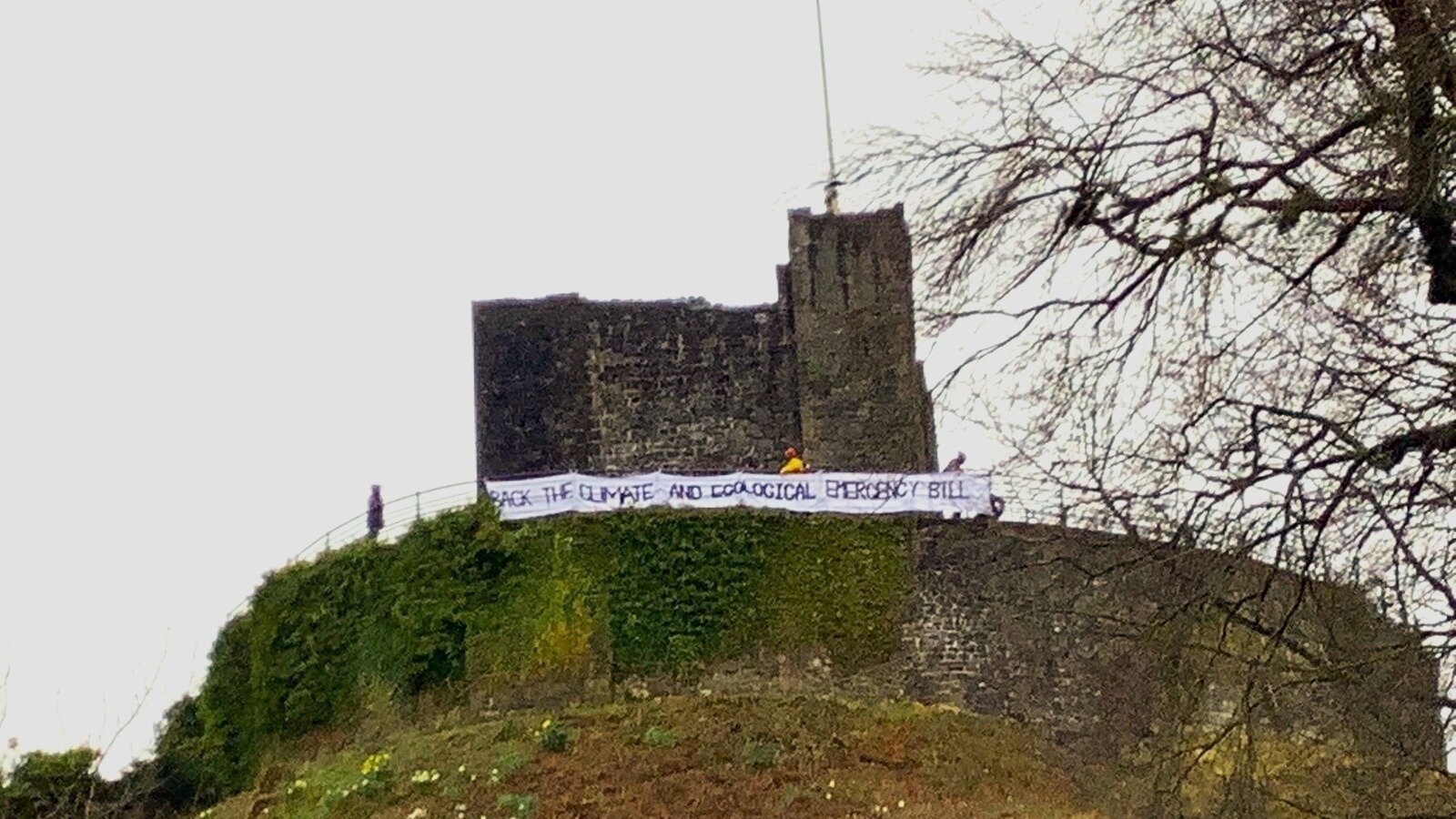 Petition · Get our council to support the Climate and Nature Bill in ...