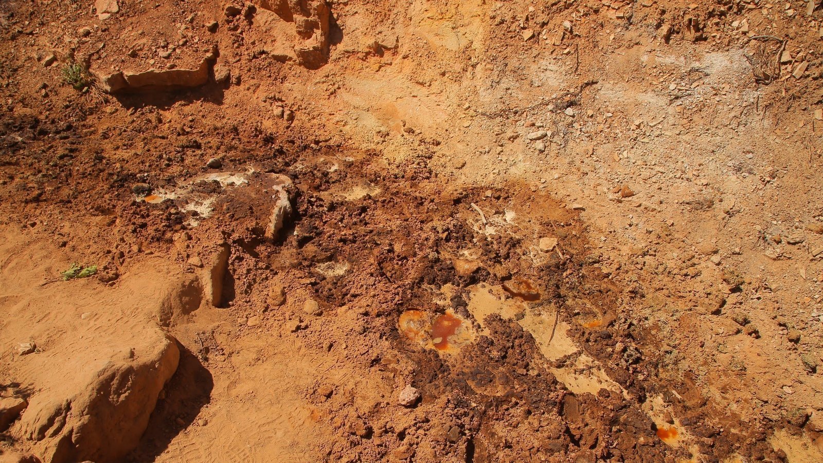 Petition · Require equestrians to pack out their litter on popular ...