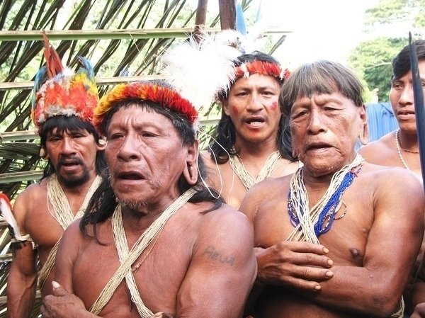 Petition · Presidente de la Republica de Ecuador: Stop Destroying ...