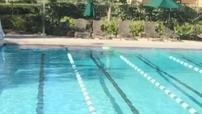 Petition · Please open the Oak Knoll Lap Pool Immediately - United ...