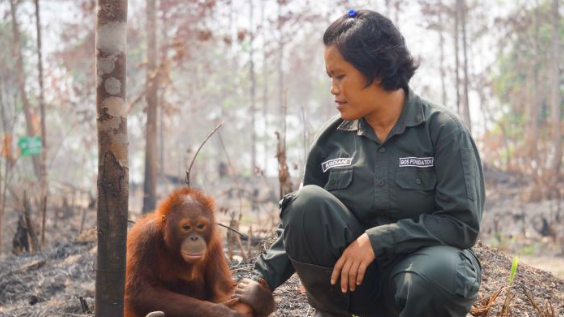Petition · Tell Trader Joe's CEO Dan Bane: Ban Palm Oil! - United ...