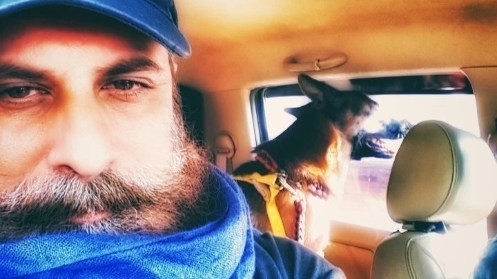 Petition · Stop the killing of stray dogs by the govt. Authorities ...