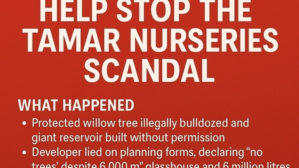 Petition update · 🛑 Build First, Lie Later? The Tamar Nurseries Scandal ...