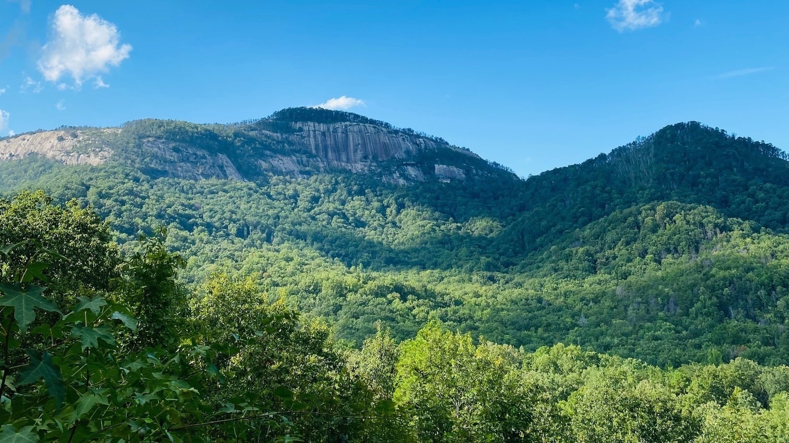 Petition · Protect the Scenic Region along the corridor of SC-11 in ...